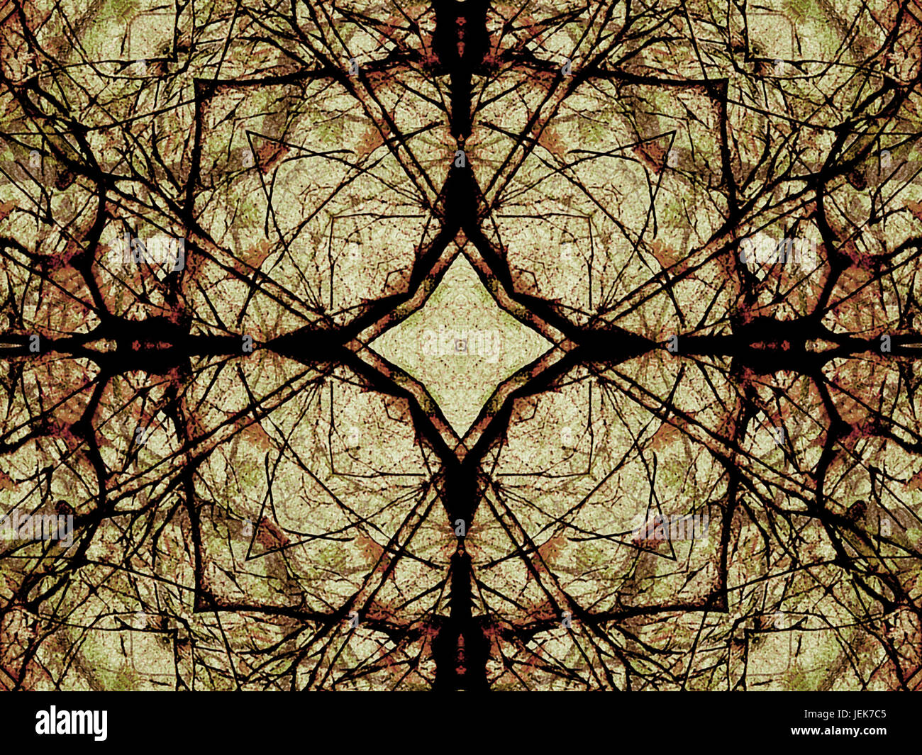 Modern Floral Collage Background Pattern Stock Photo - Alamy