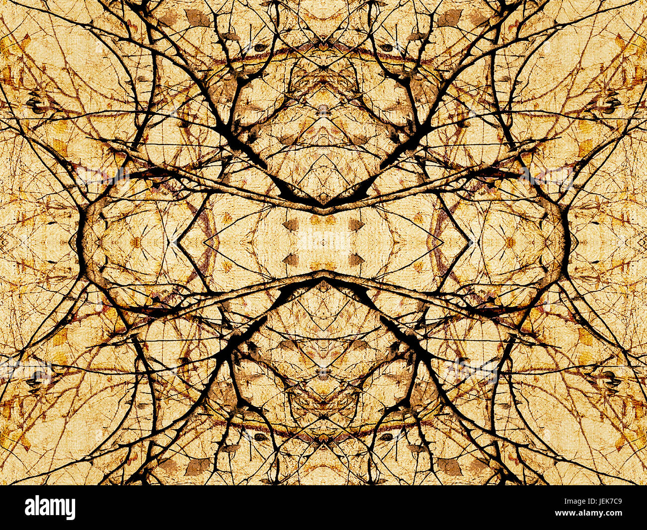 Modern Floral Collage Background Pattern Stock Photo - Alamy