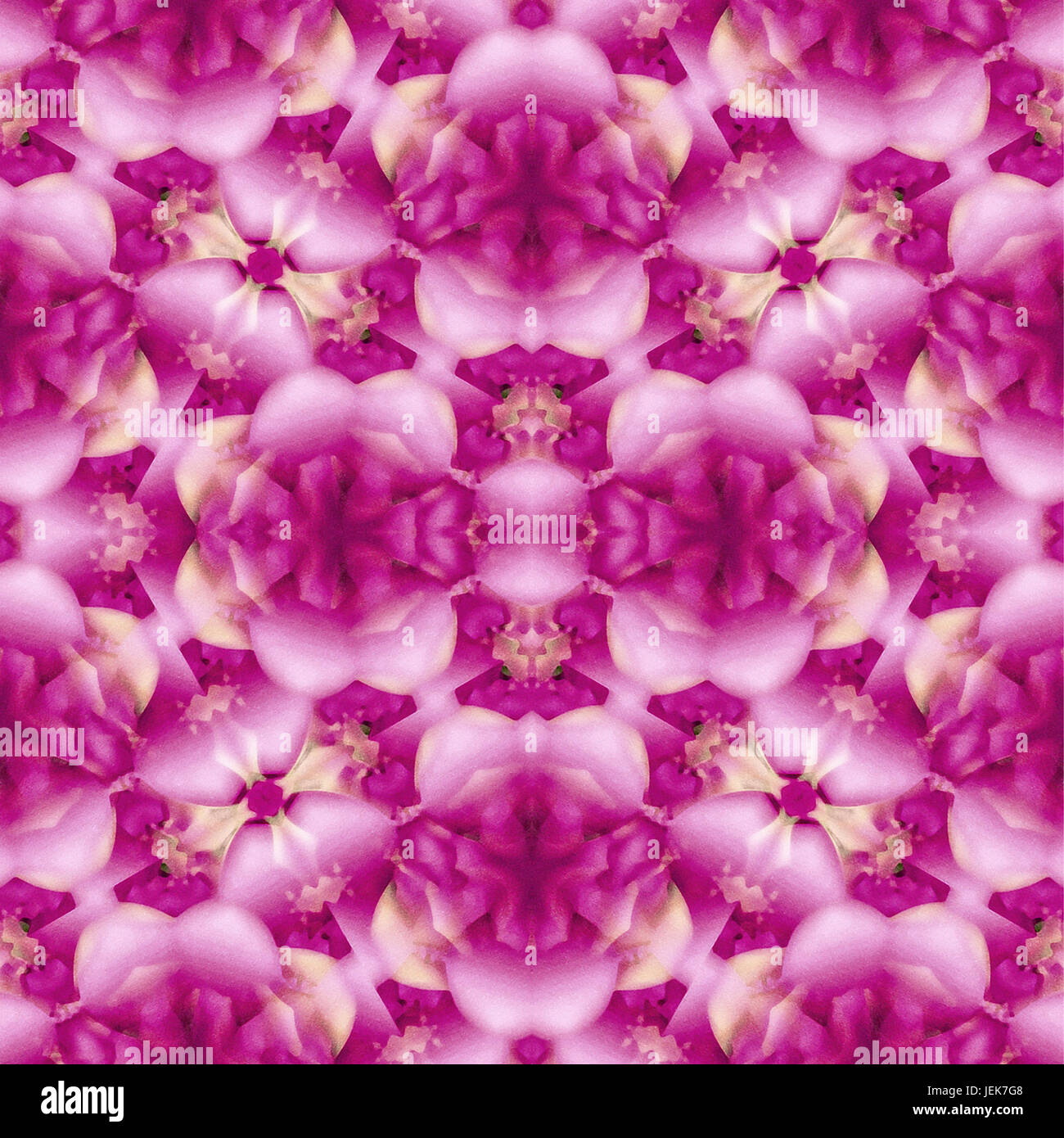 Floral Pink Seamless Pattern Stock Photo - Alamy