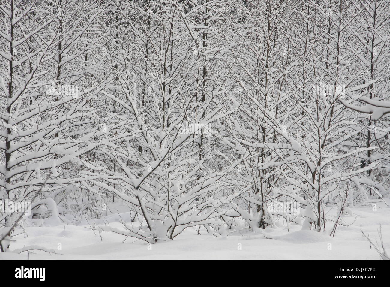 Verschneiter hi-res stock photography and images - Alamy