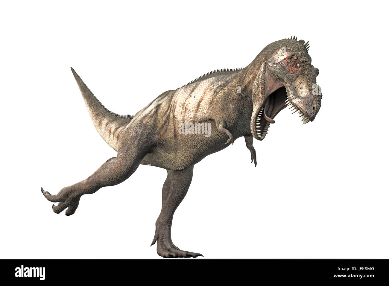 3d illustration of a tyrannosaurus rex isolated on white background ...