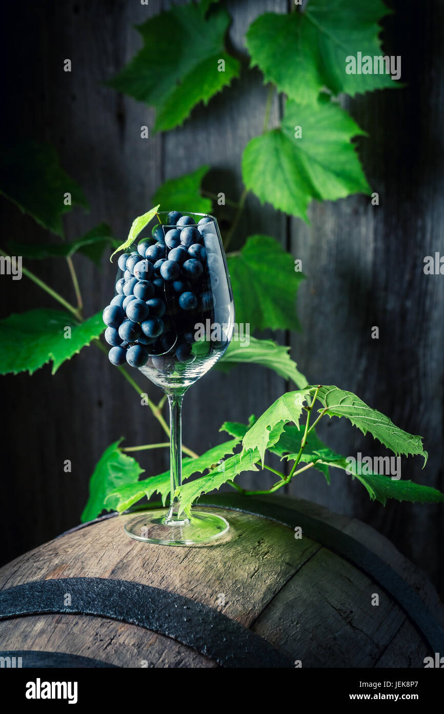 Grapes and vines of wine on oak barrel Stock Photo - Alamy