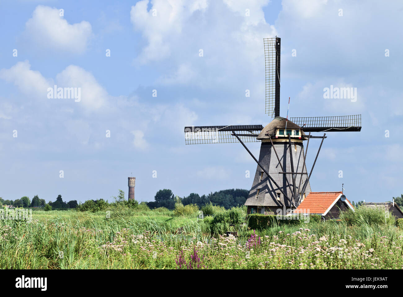 Ancient windmill in a field with colorful vegetation at Kinderdijk in ...