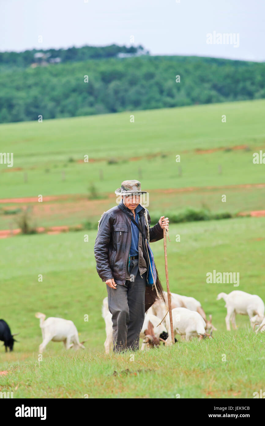 Chinese shepherd hi-res stock photography and images - Alamy