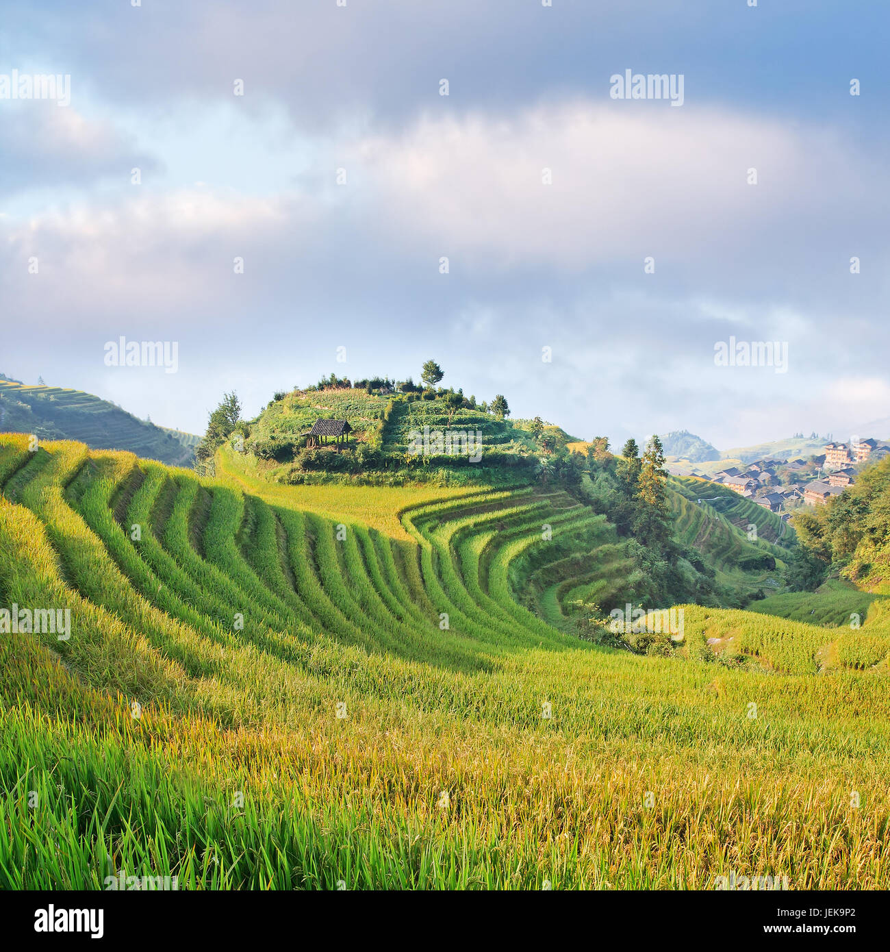 Famous rice terraces, Longi, China Stock Photo - Alamy