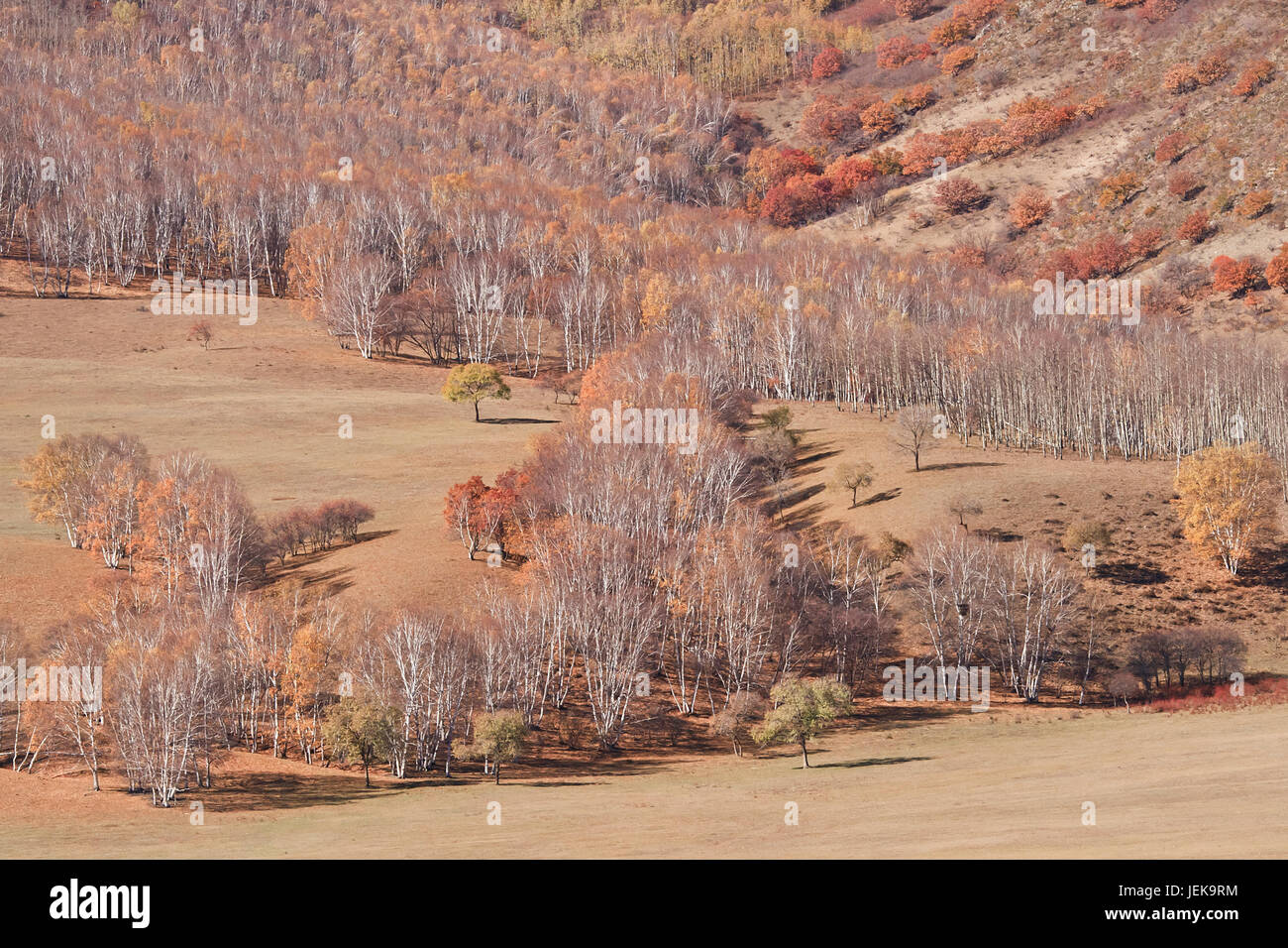 Enchanting red pastsel colors of autumn Mongolian steppe Stock Photo ...