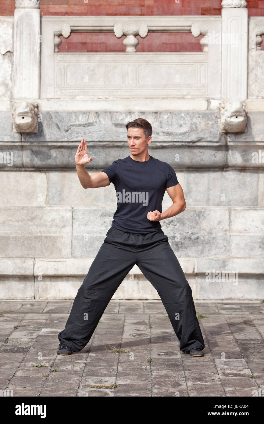 Black dressed martial arts master practising at Temple of Heaven ...