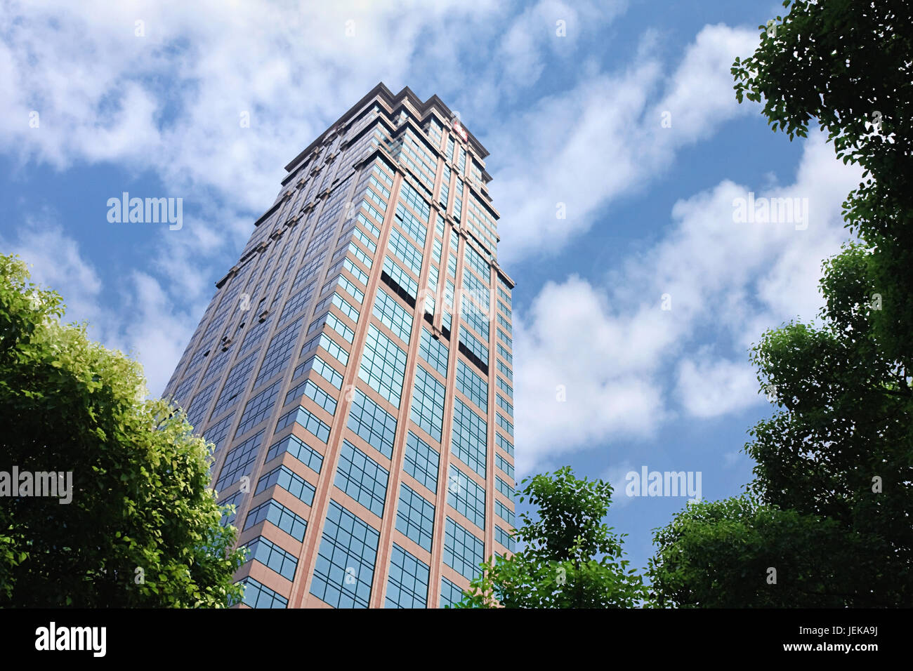 Shanghai architecture trees hi-res stock photography and images - Alamy