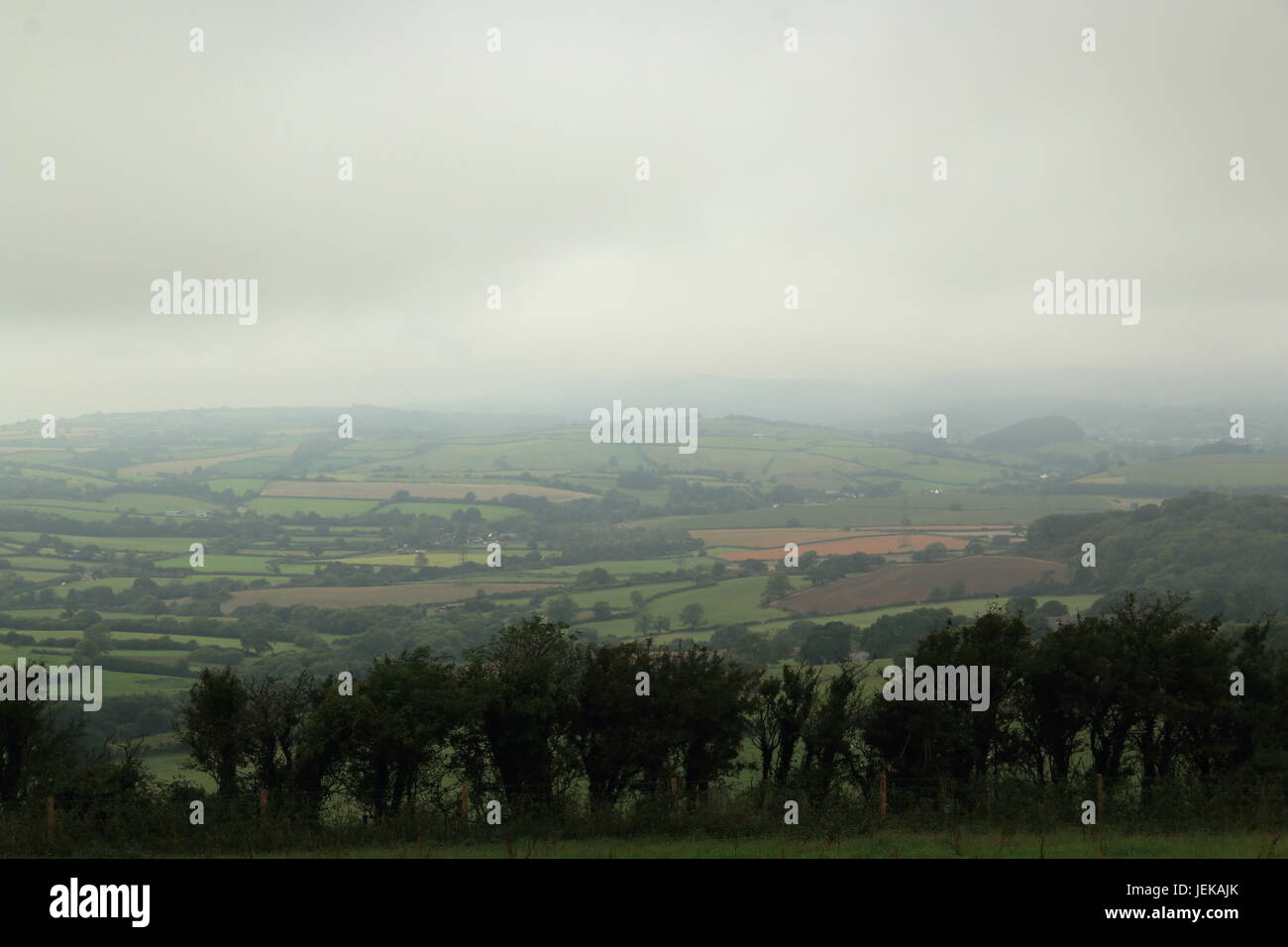 Dorset countryside in cloudy weather Stock Photo - Alamy