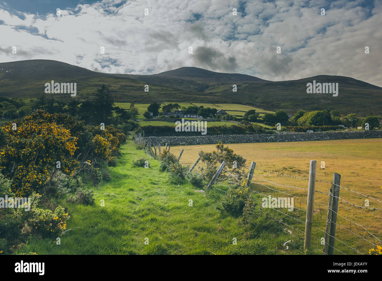 a beautiful Irish countryside alongside a farm Stock Photo - Alamy