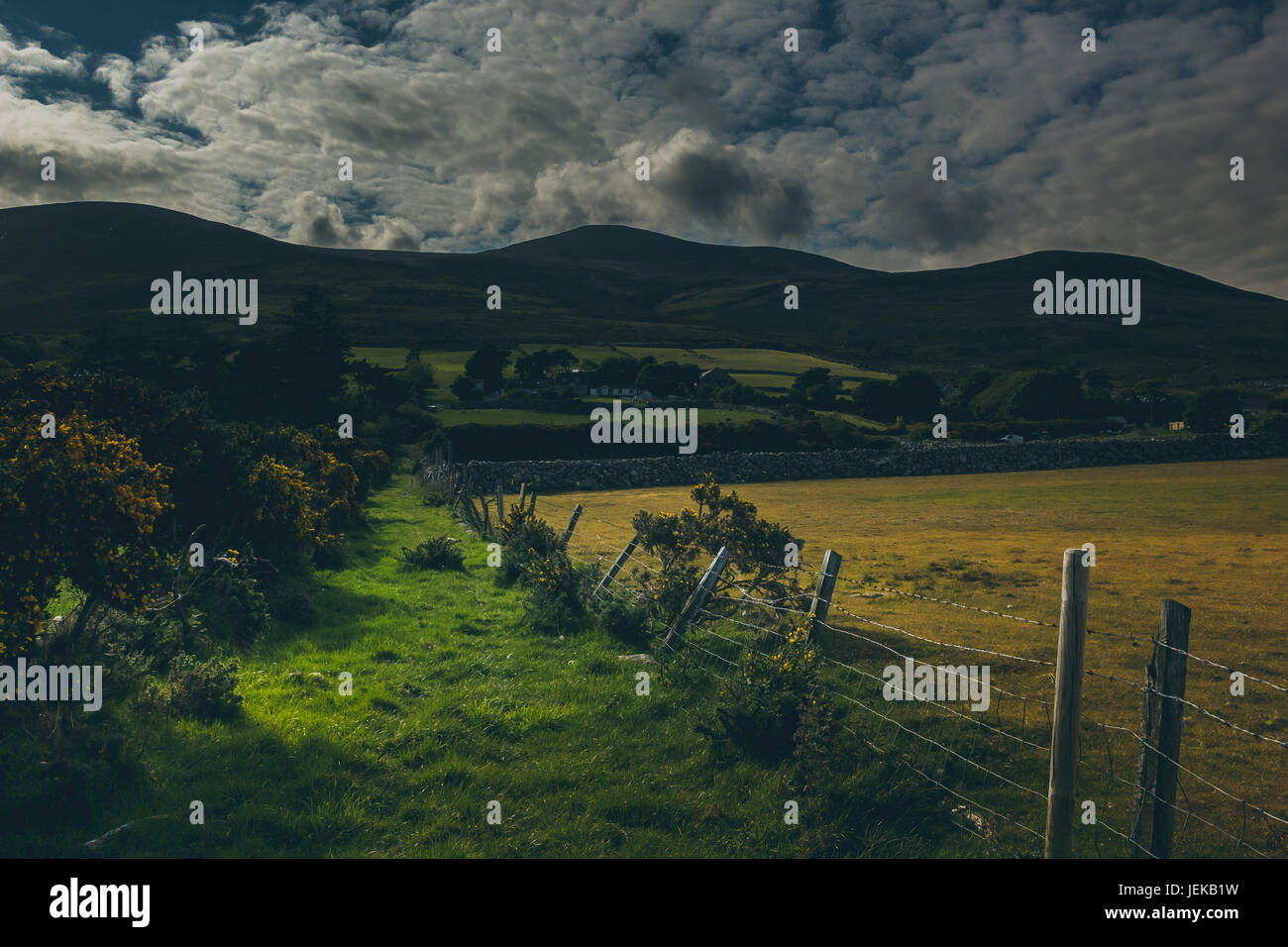 a beautiful Irish countryside alongside a farm Stock Photo - Alamy