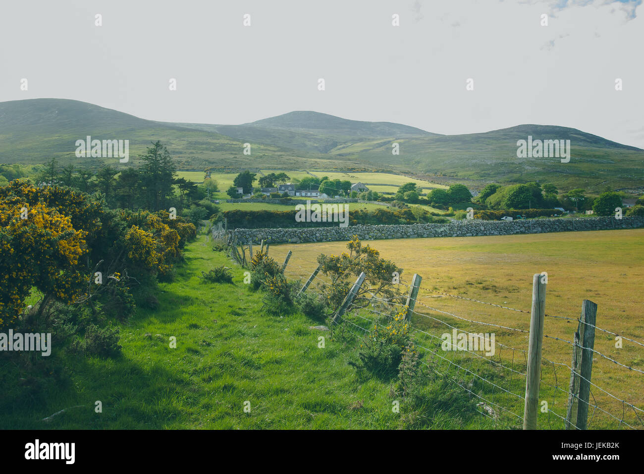 a beautiful Irish countryside alongside a farm Stock Photo - Alamy