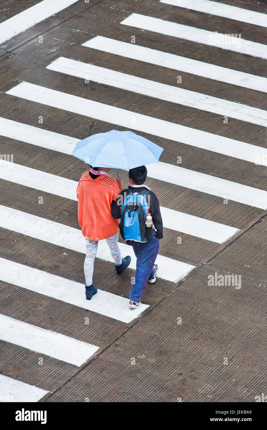 Pedestrains with umbrella on a wet zebra path. Shanghai has a humid ...