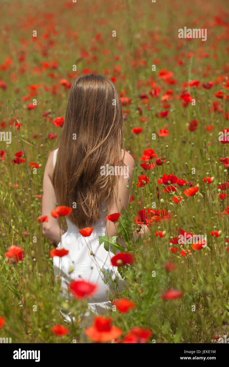 Woman walking through a poppy field hi-res stock photography and images ...