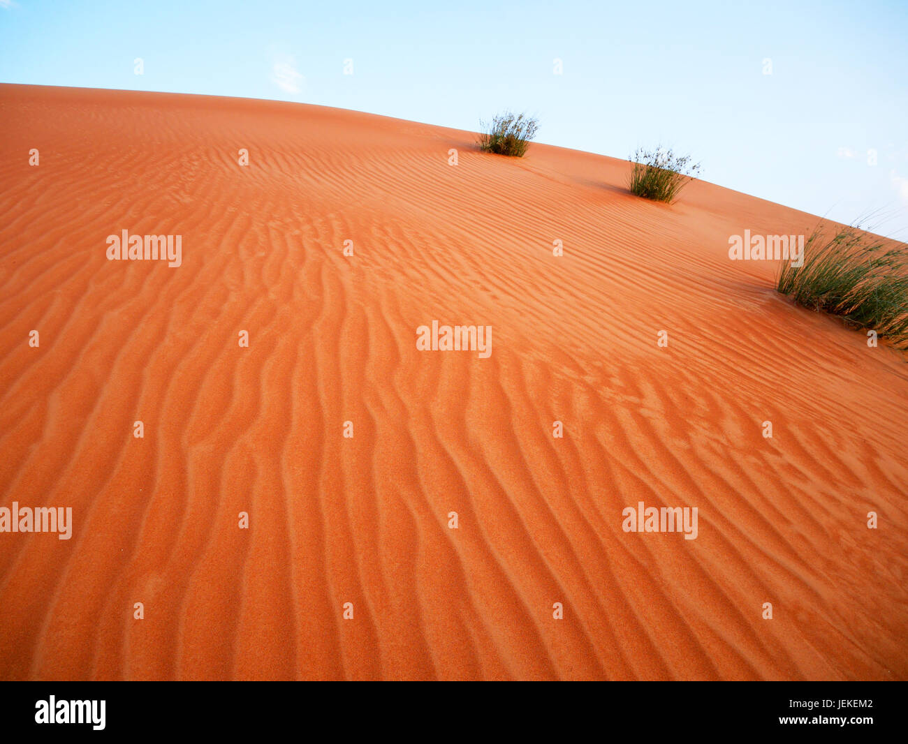 Exploit hi-res stock photography and images - Alamy