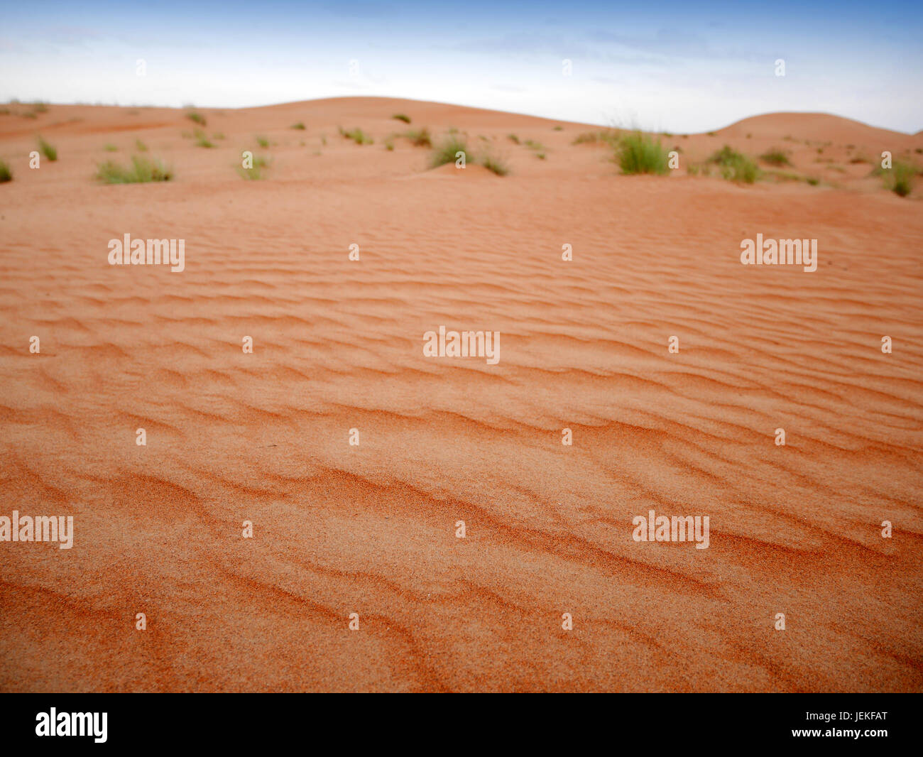 Orange sand of the Wahiba desert, Oman Stock Photo - Alamy