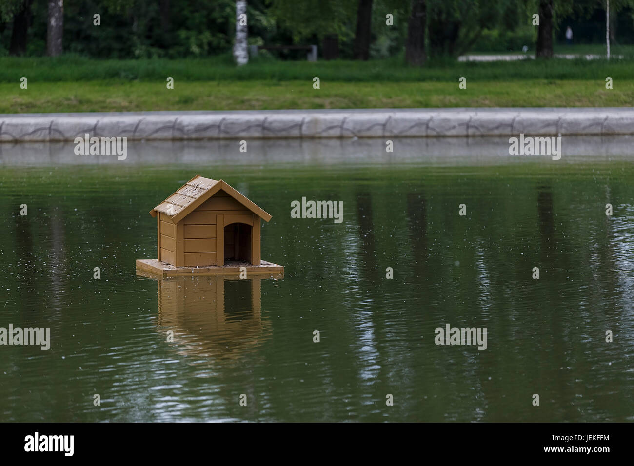 Waterfowl of russia hi-res stock photography and images - Alamy