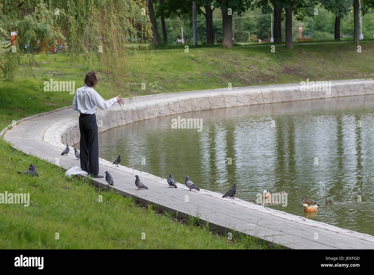 Man feeding ducks hi-res stock photography and images - Alamy