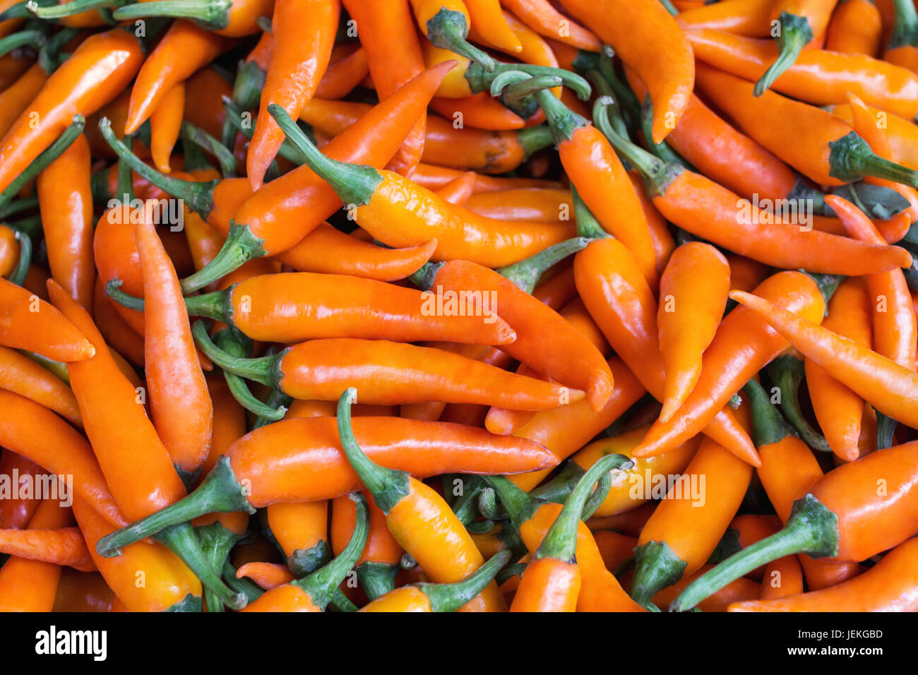orange chili peppers Stock Photo - Alamy