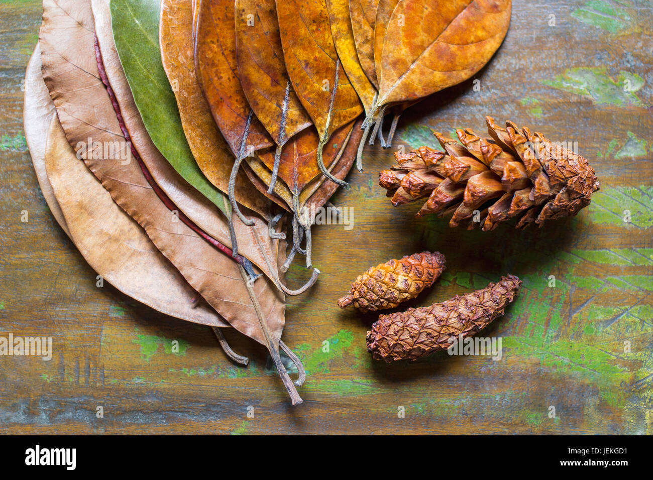 Wooden cones hi-res stock photography and images - Alamy