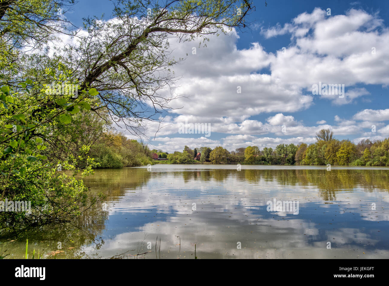 Lake and tree landscape, Tergast, Lower Saxony, Germany Stock Photo - Alamy