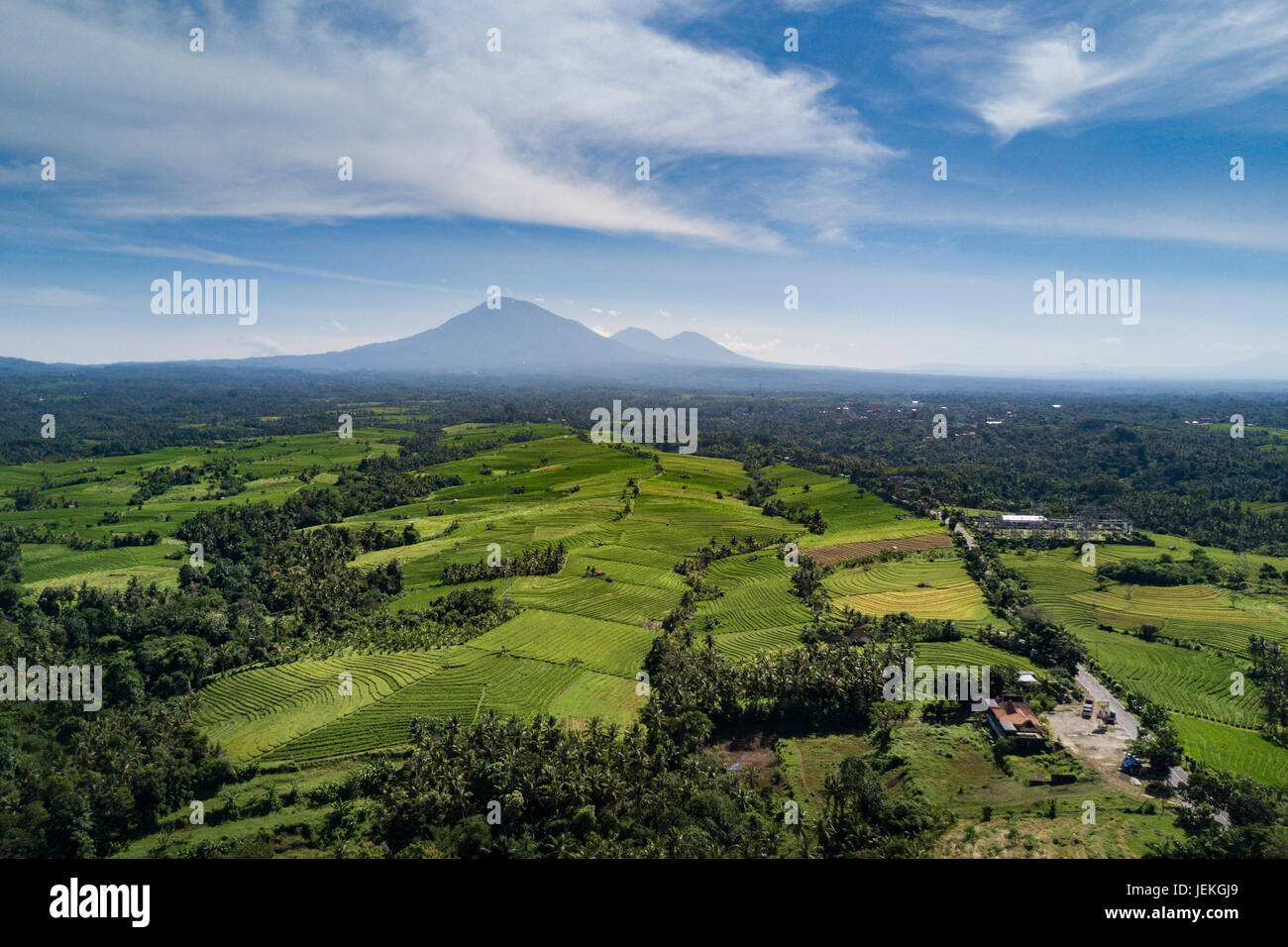Rice fields, Bali, Indonesia Stock Photo - Alamy
