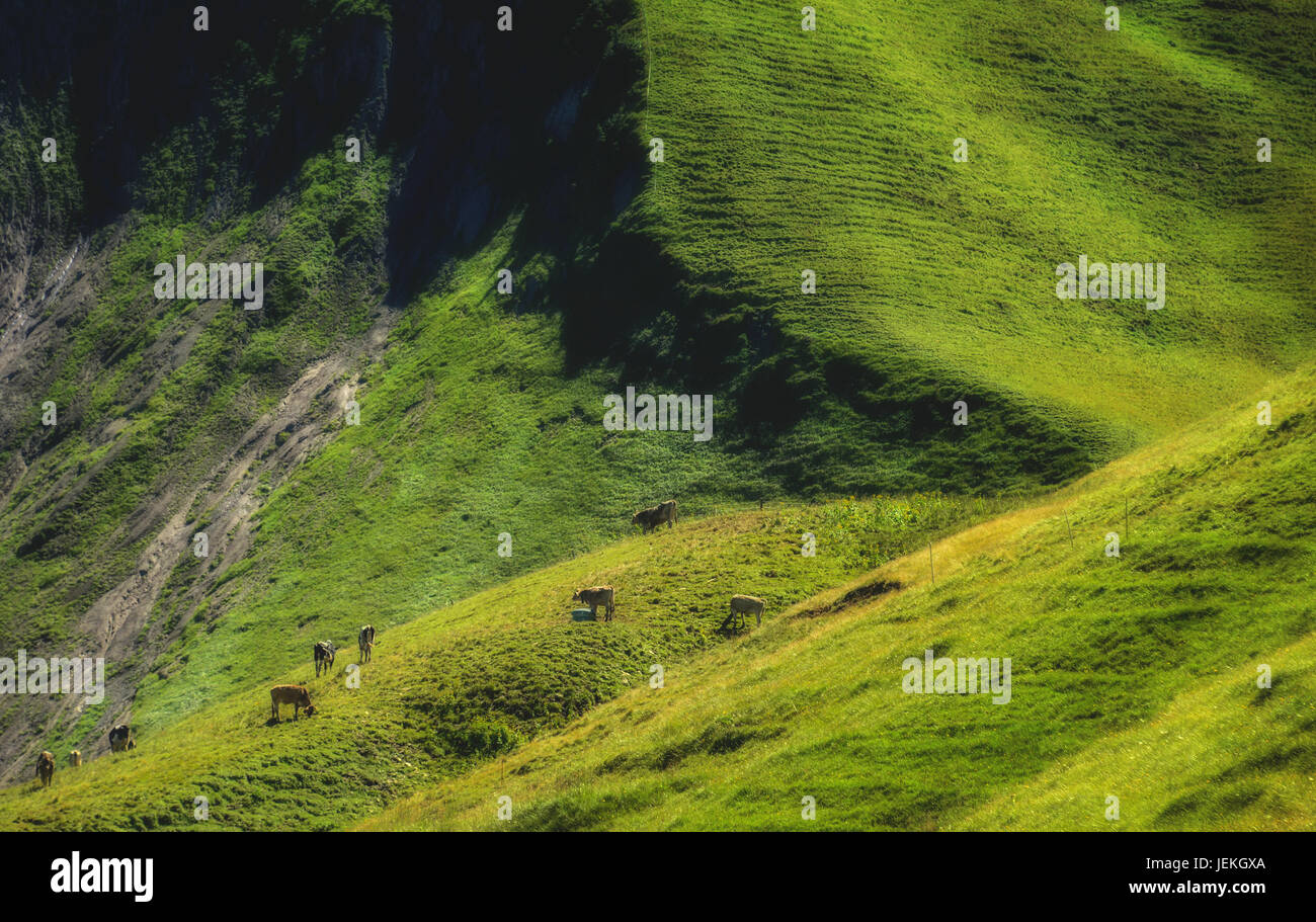 Morschach stoos hi-res stock photography and images - Alamy