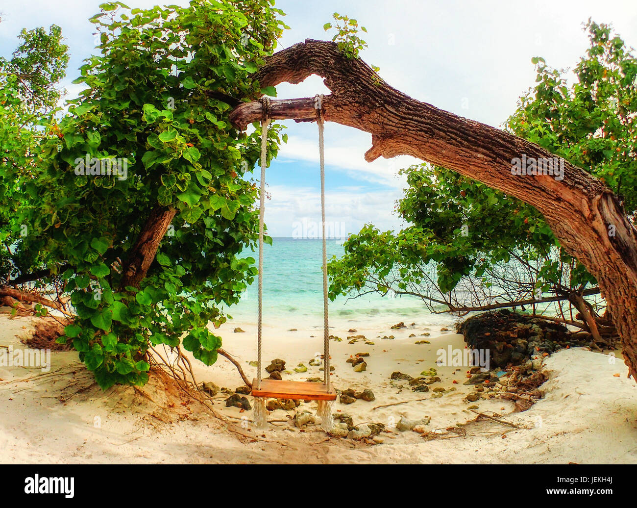 Rope swing on beach hi-res stock photography and images - Alamy