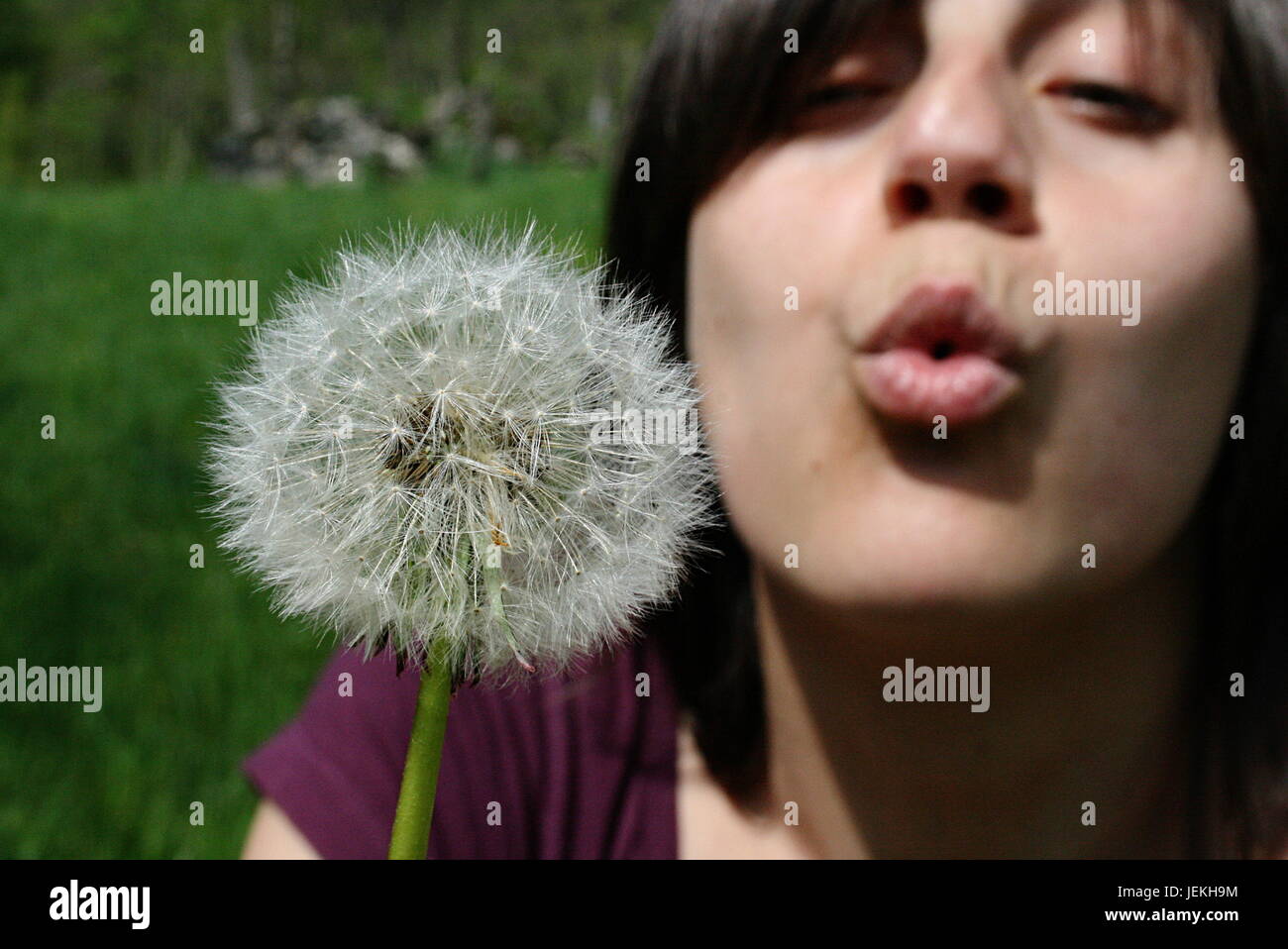 Woman blowing a dandelion Stock Photo - Alamy
