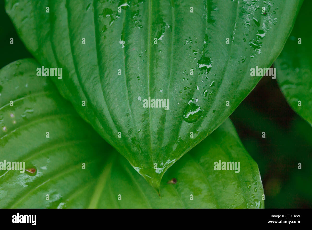 Inspire colours hi-res stock photography and images - Alamy