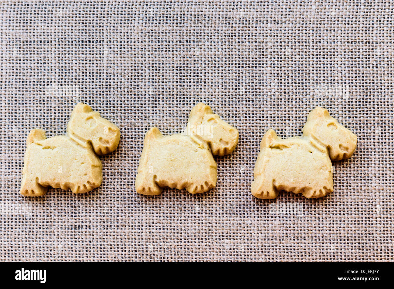 Shortbread biscuits shaped like Scottish Terriers Stock Photo - Alamy