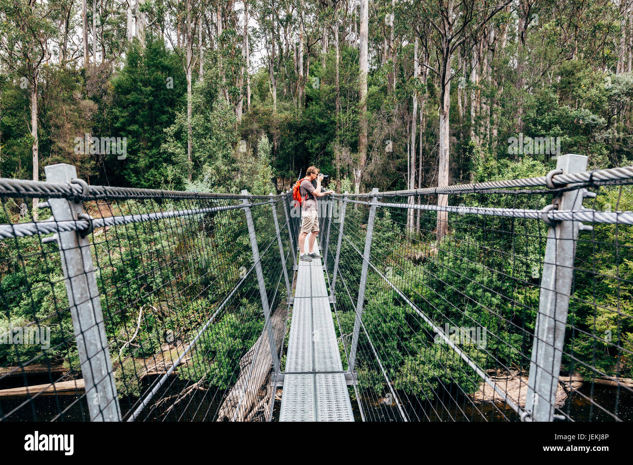 Huon swinging bridge hi-res stock photography and images - Alamy