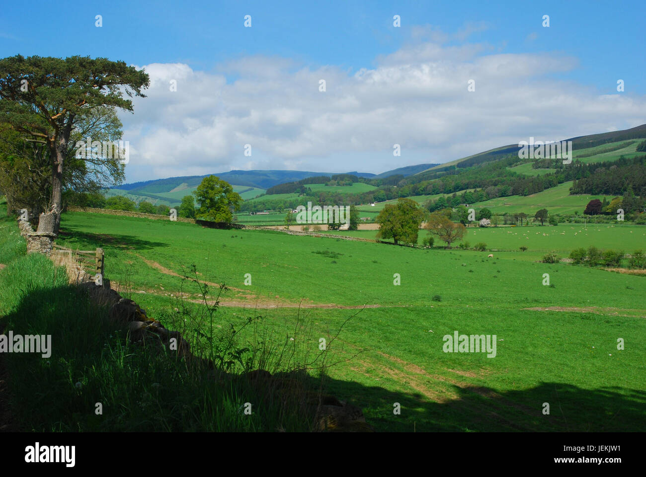 Tweed valley and view hi-res stock photography and images - Alamy
