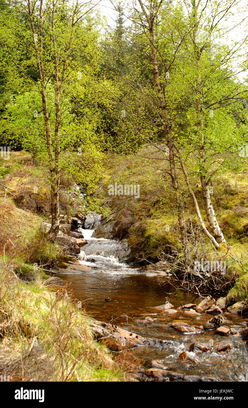 mountain stream or scottish burn in Glen Lyon Stock Photo - Alamy