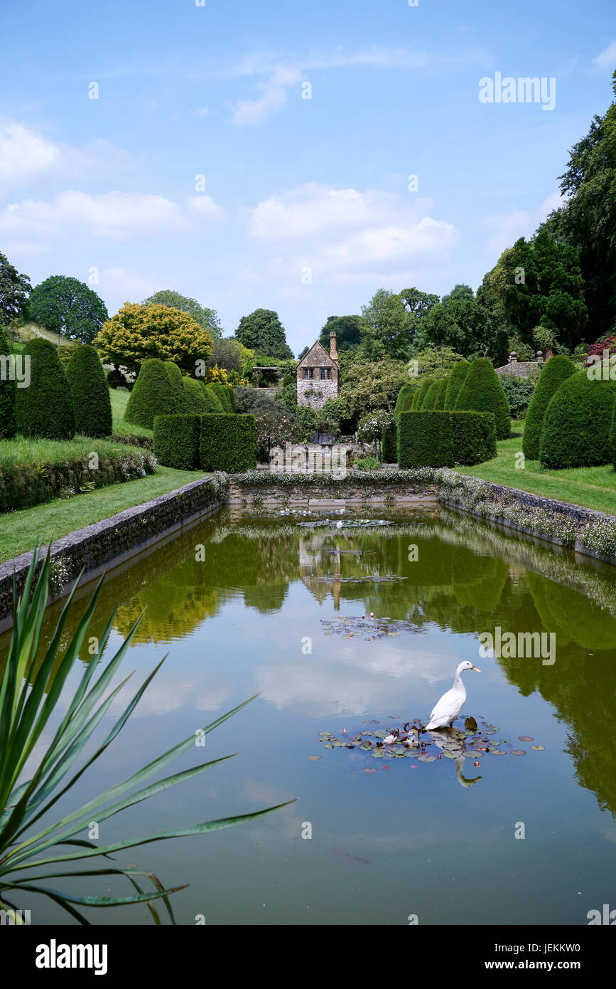 Mapperton house hi-res stock photography and images - Alamy