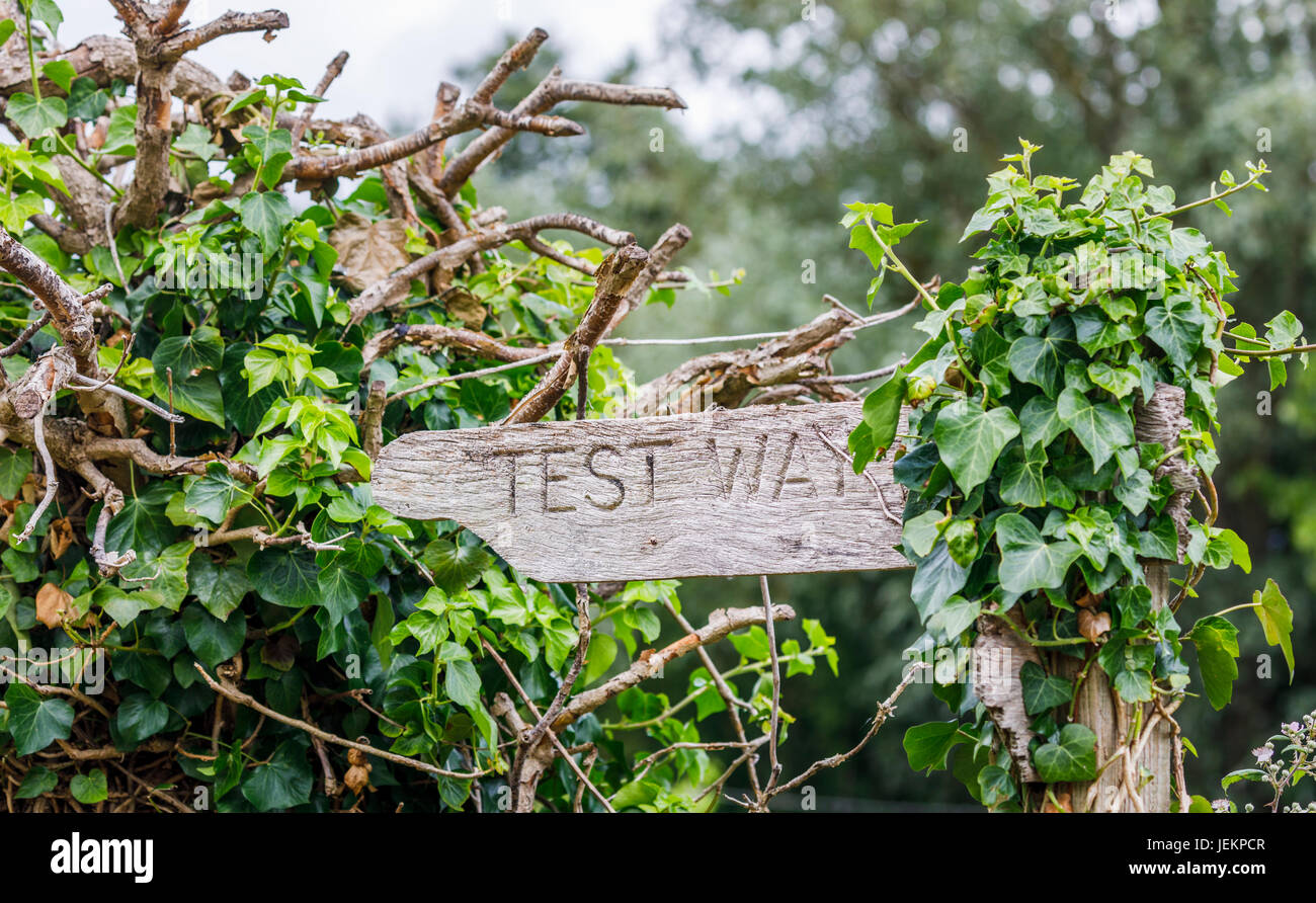 Outdoor rural activities: Weathered wooden fingerpost on the Test Way ...
