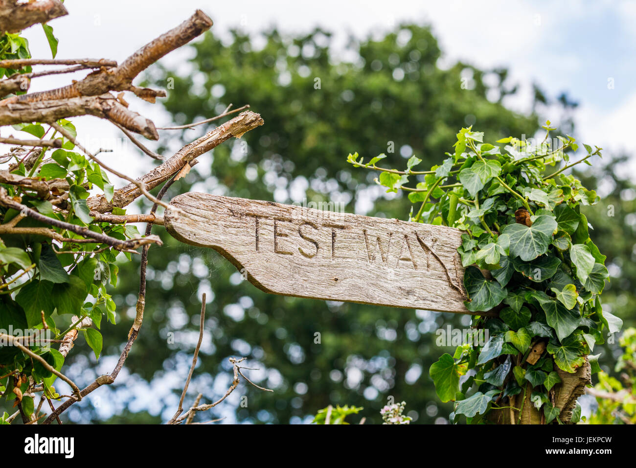 Outdoor rural activities: Weathered wooden fingerpost on the Test Way ...