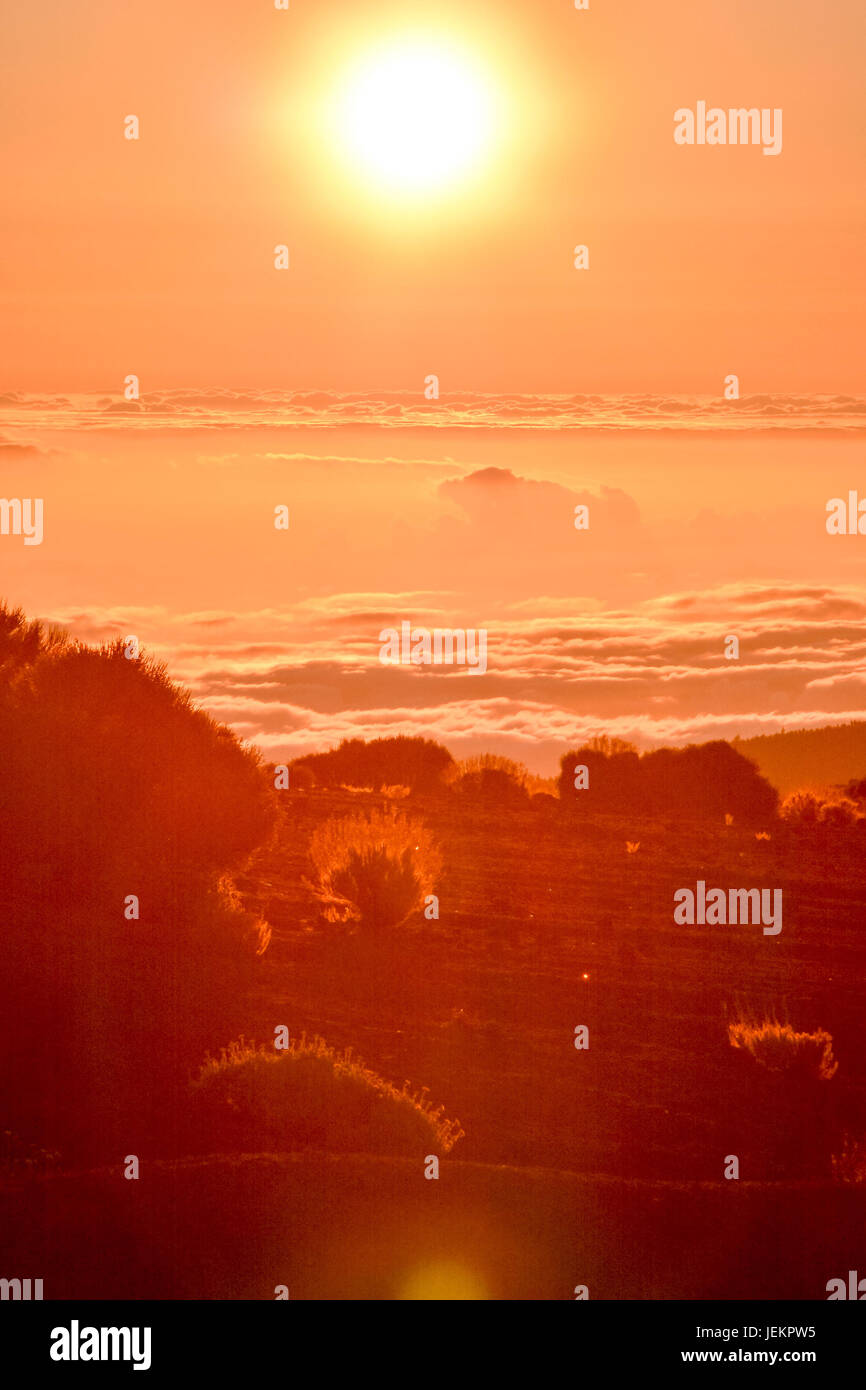 Orange Sun Setting Stock Photo - Alamy