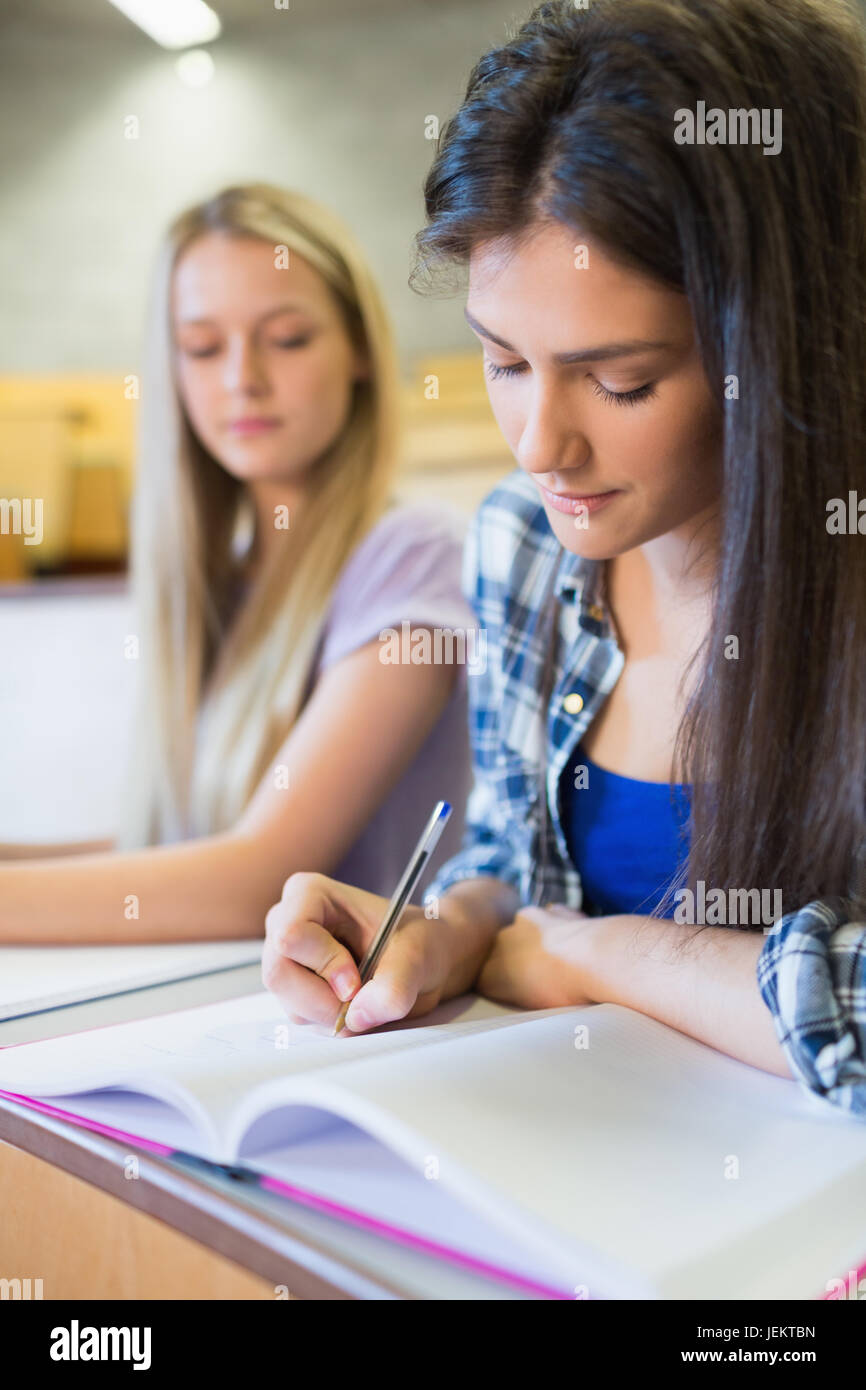 Two serious students working together Stock Photo - Alamy Two serious students working together Stock Photo - Alamy