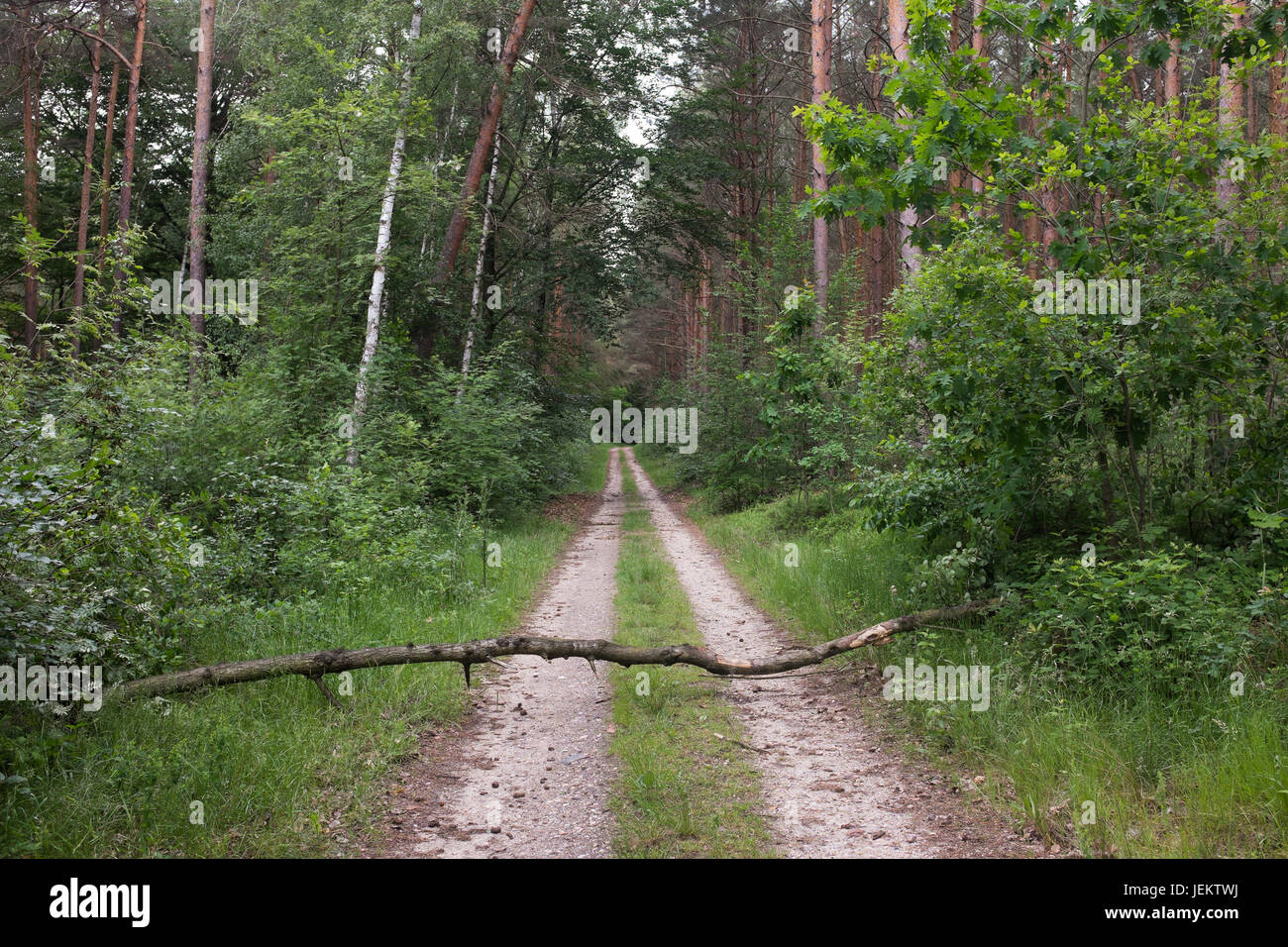 Blocked off pathway hi-res stock photography and images - Alamy