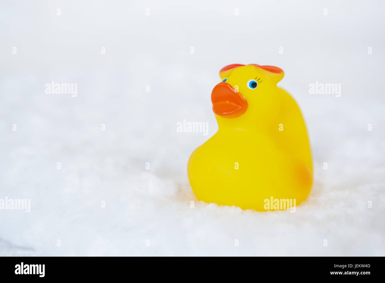 Household duck hi-res stock photography and images - Alamy