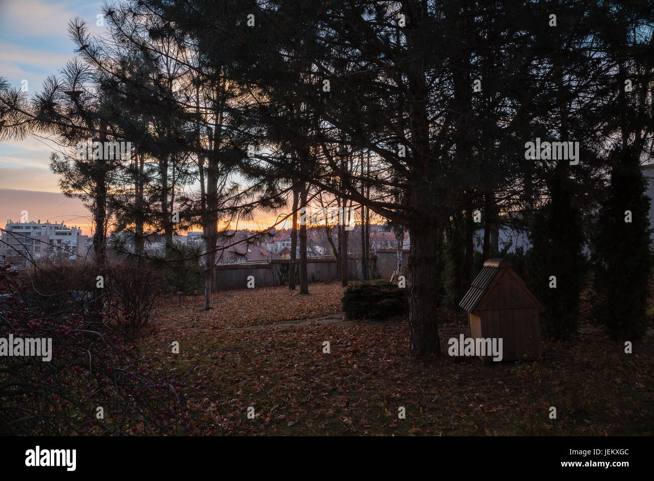First rays of the sun. The nice morning in the yard Stock Photo - Alamy