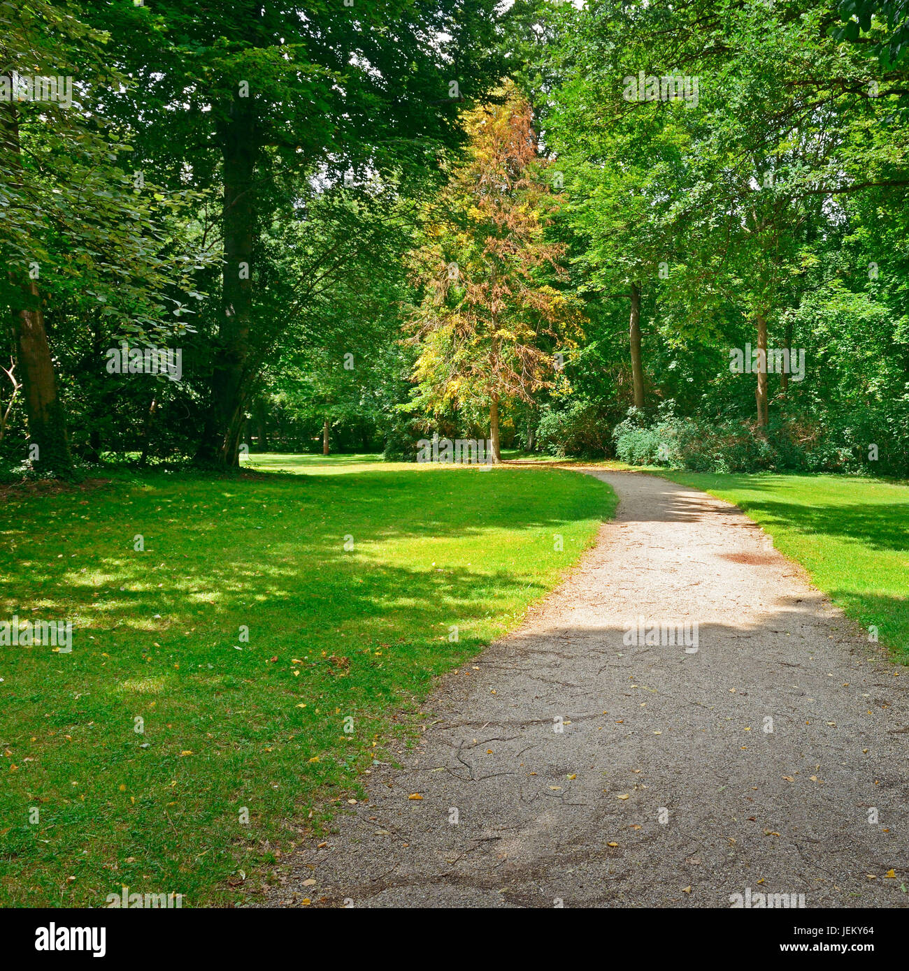 path to walk in a beautiful park Stock Photo - Alamy