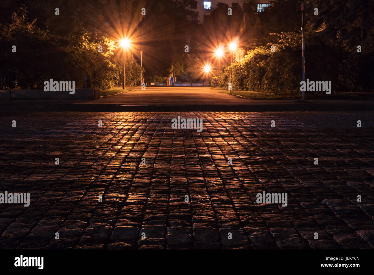 Glistening paving stone from the light of street lamps in the park ...