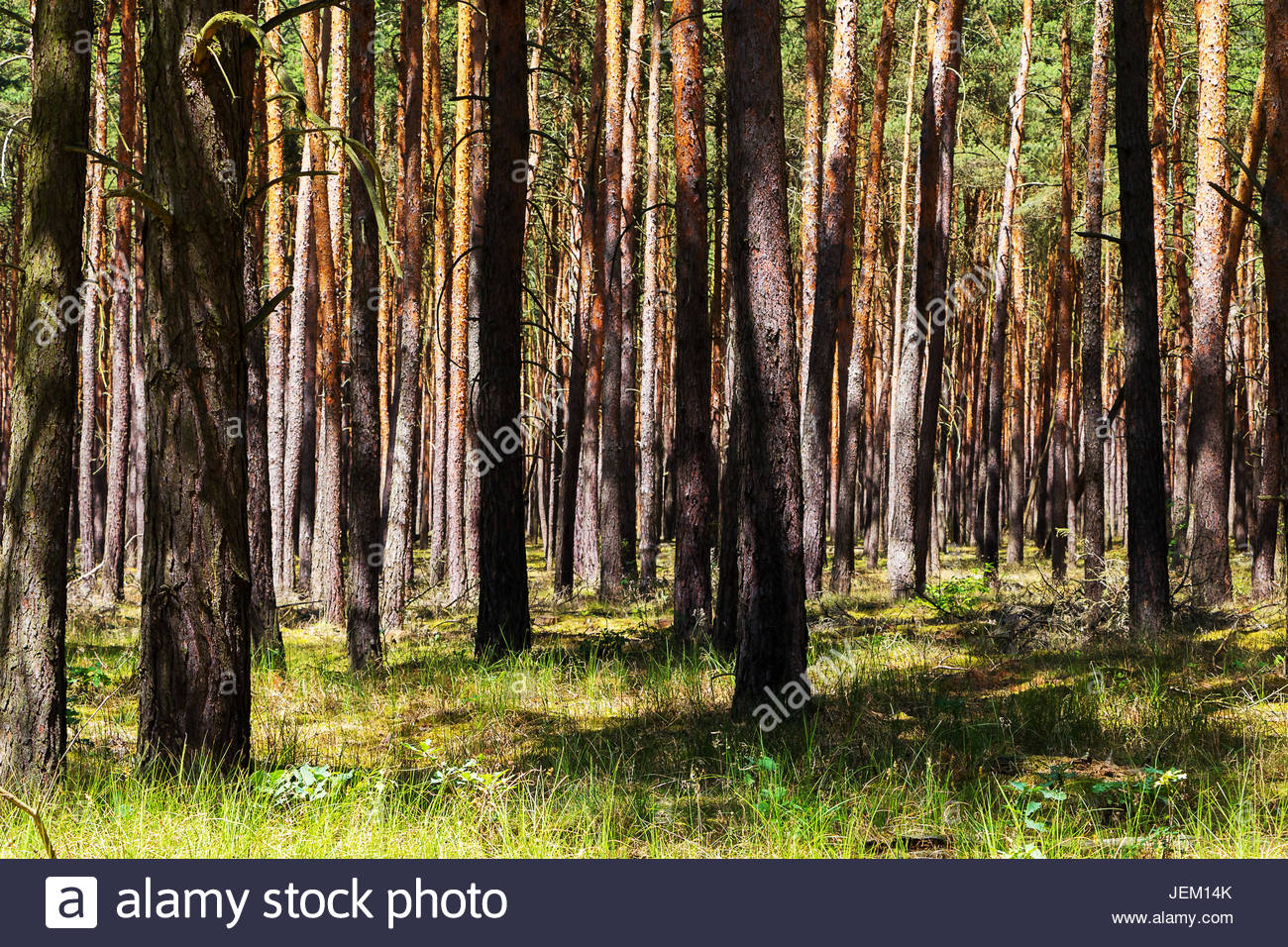 Monoculture Stock Photos & Monoculture Stock Images - Alamy