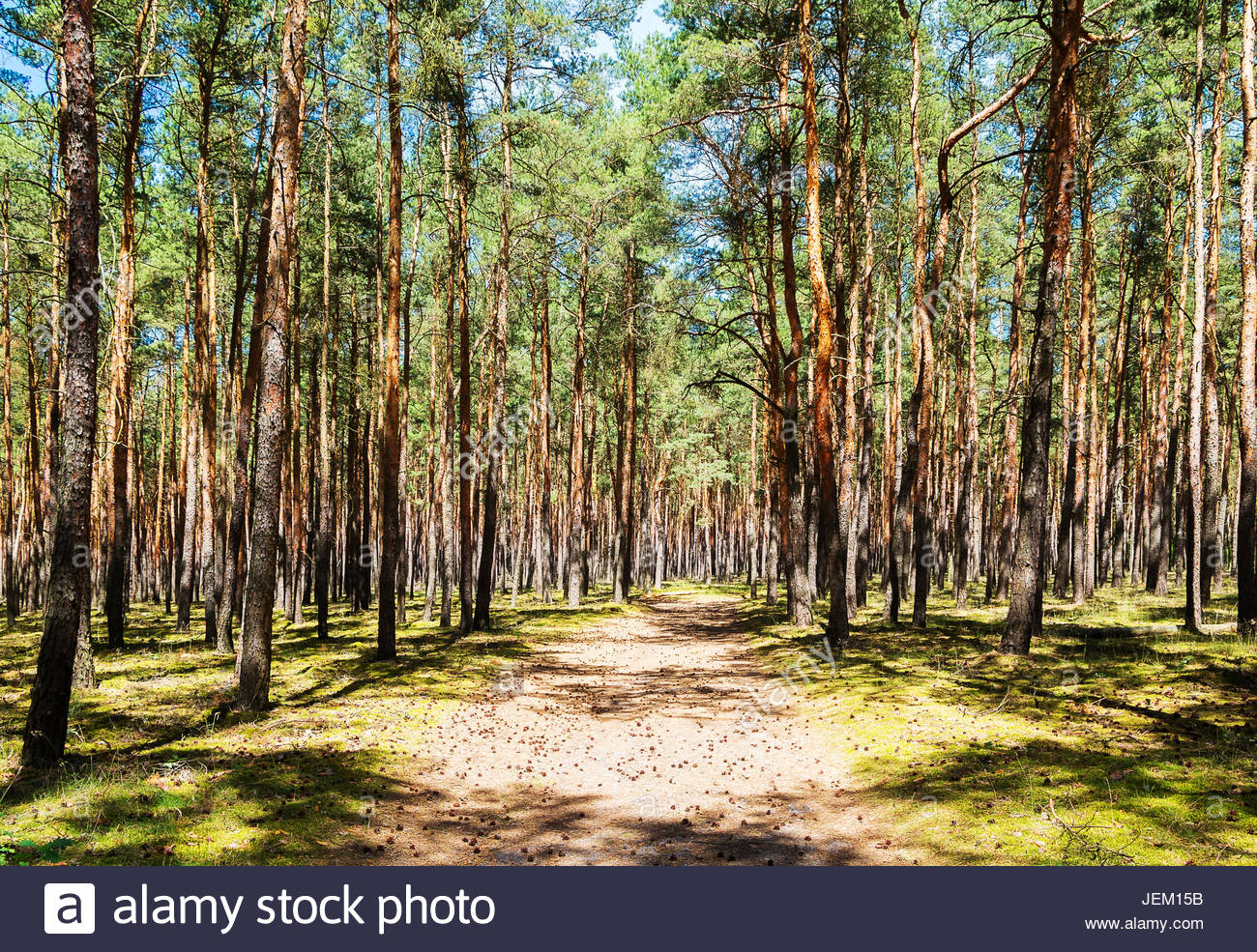 Monoculture Stock Photos & Monoculture Stock Images - Alamy