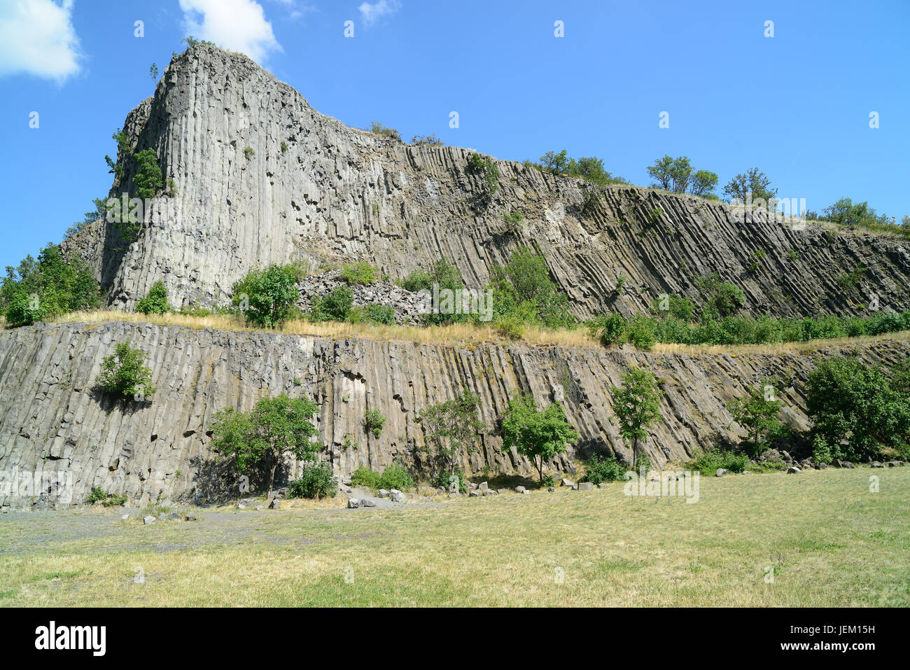 Sharpneedle hi-res stock photography and images - Alamy