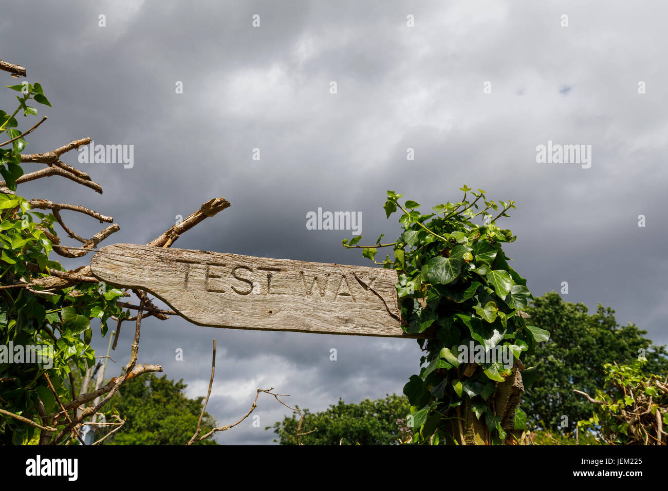 Outdoor rural activities: Weathered wooden fingerpost on the Test Way ...