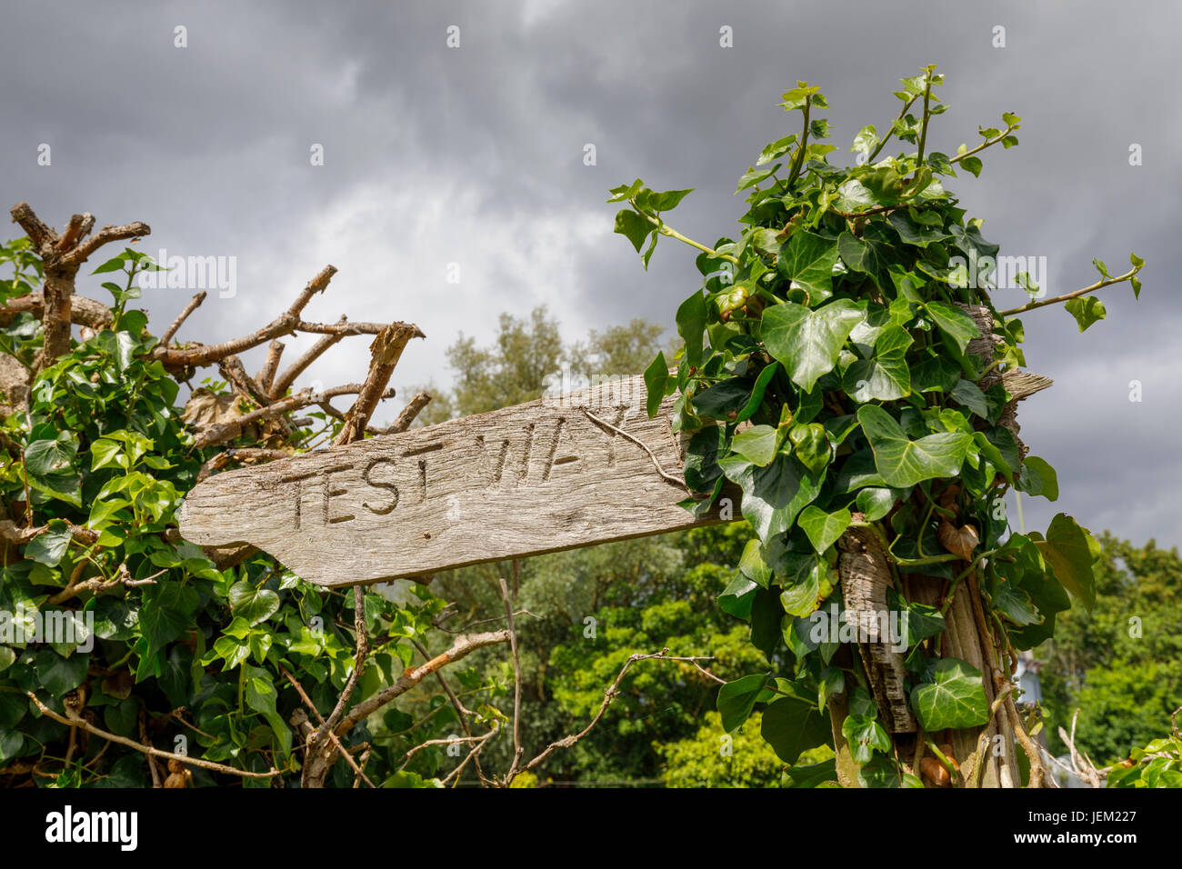 Outdoor rural activities: Weathered wooden fingerpost on the Test Way ...