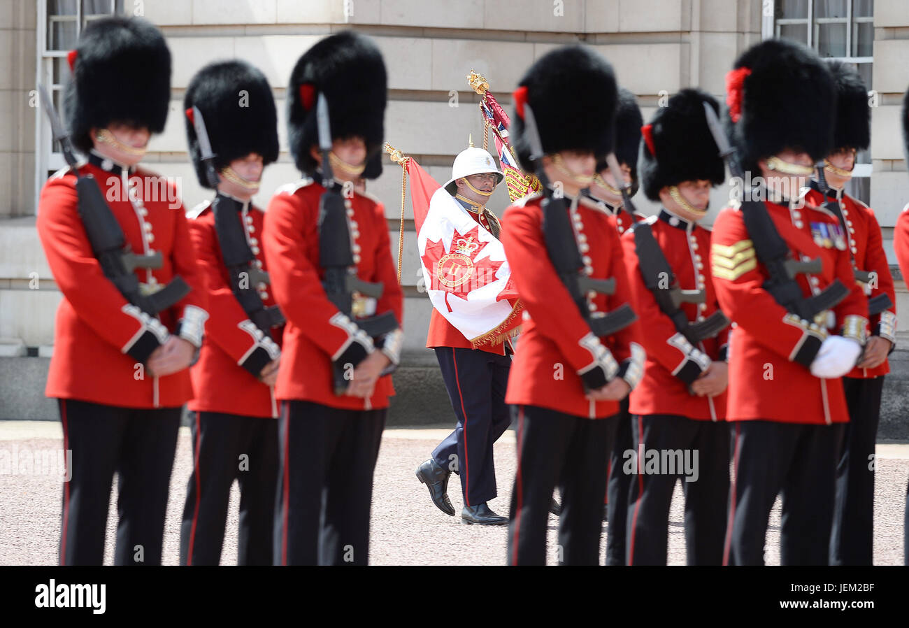 The colour of Princess Patricia's Canadian Light Infantry (PPCLI) is ...